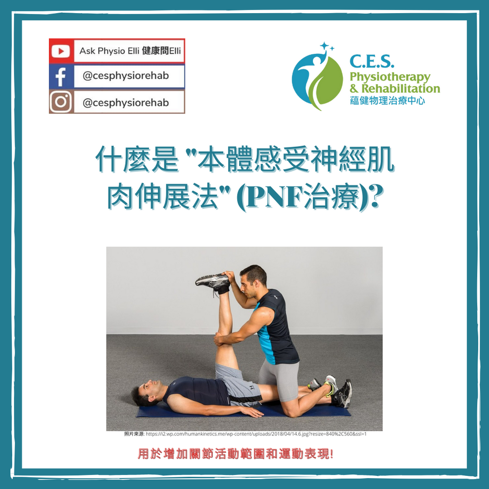 什麼是PNF伸展治療？