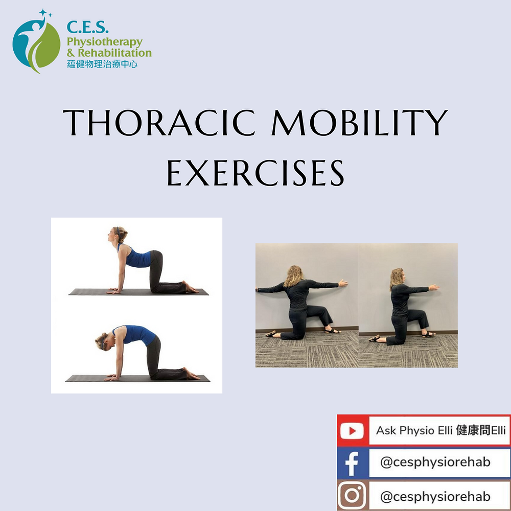 Spine Mobility Exercises
