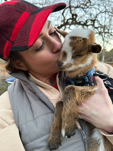 10 min. Goat Experience at the Farm | Goat Shenanigans