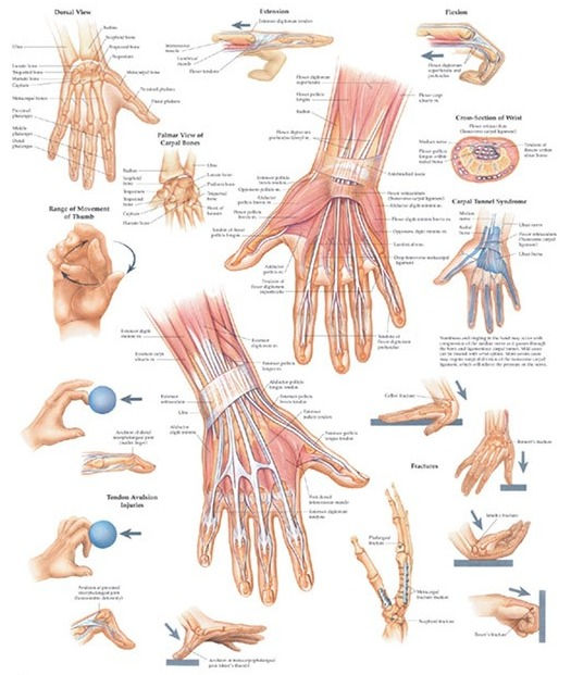 Plantar Fasciatis and Carpal Tunnel: Feet/Ankles & Hands/Wrists