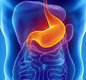 digestion times for common food