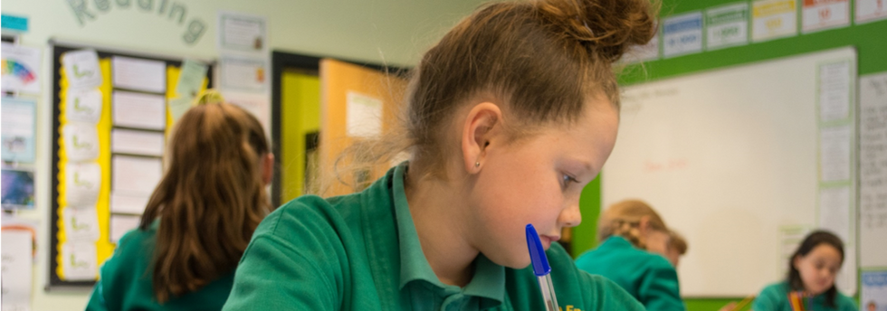 Wood End Primary School Wolverhampton