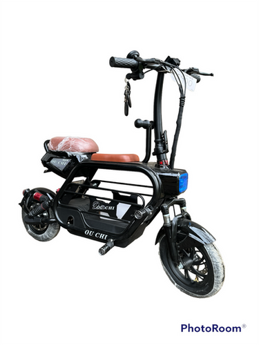 Pet Friendly City Ebike | Bikers Zone