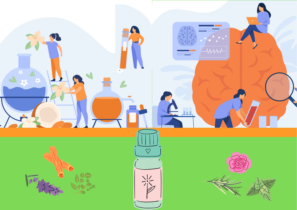Why Are Essential Oils Loved Compelling Studies Validate The Science Of These Sought after Aromas why-are-essential-oils-loved-compelling-studies-validate-the-science-of-these-sought-after-aromas