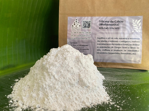 Silicato de Cálcio (Wollastonita) | Probióticos 3Marias