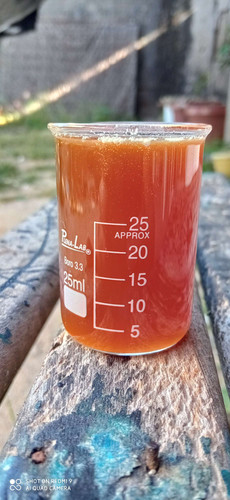 Magnésio Micronizado | Probióticos 3Marias