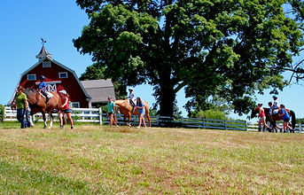 Little Britches Therapeutic Riding