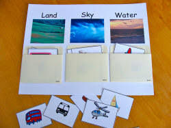 Sorting and labelling: Why are these skills important?