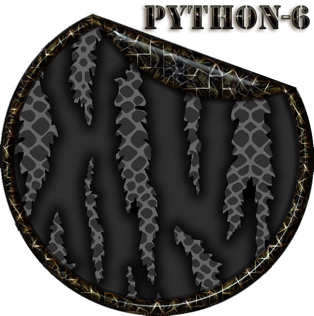 AR-15 MAG SKINS PATTERNS | GunsWrap