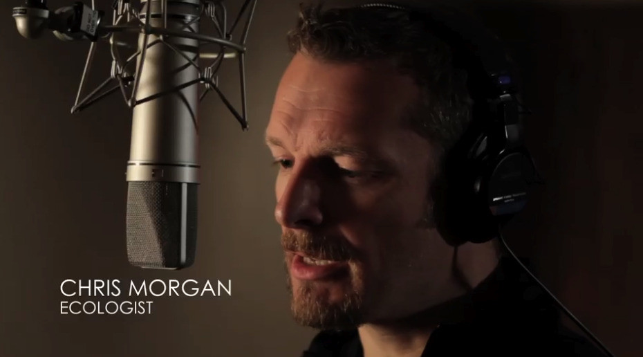 Chris Morgan Full Biography | Chris MorganWildlife