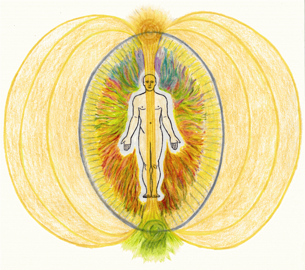 The Hara Line: Your Energetic Axis of Alignment and Power