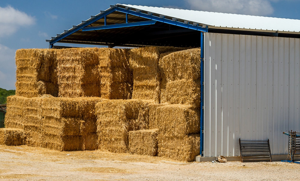 Goed hooi voor paarden: Wat Je Moet Weten