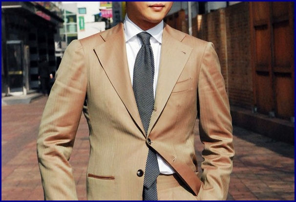 Solaro: l'abito, la storia, il mito.