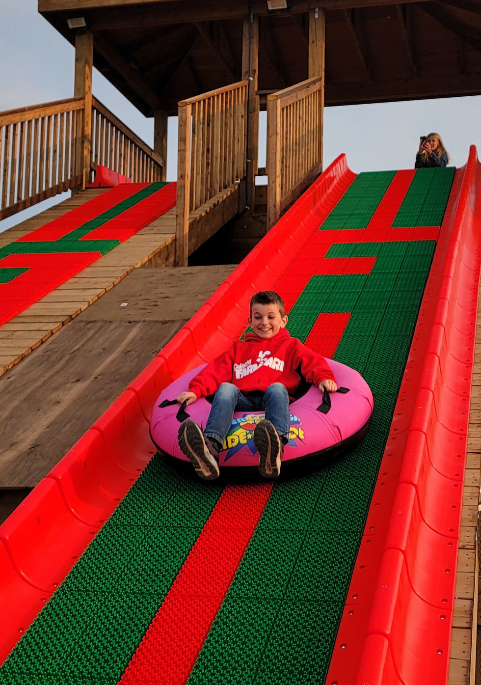 Calgary Farmyard | Explore Attractions, Animals & More