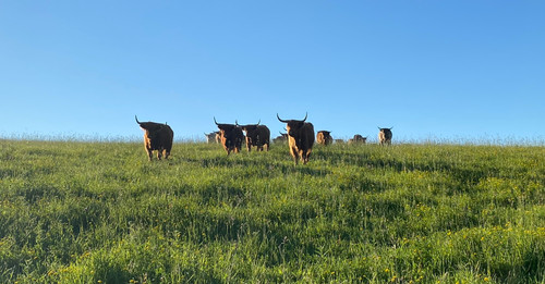 All Products | Anderson Ridge