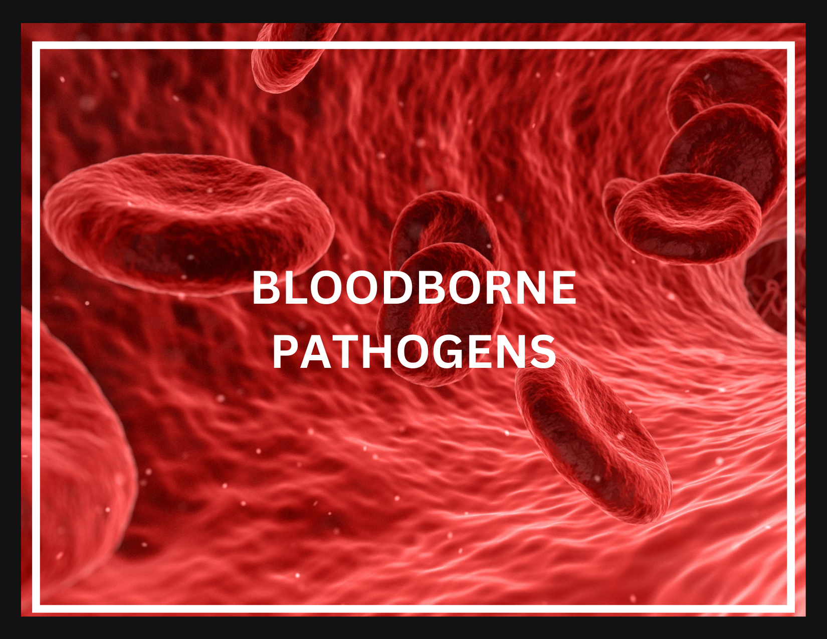 blood pathogens