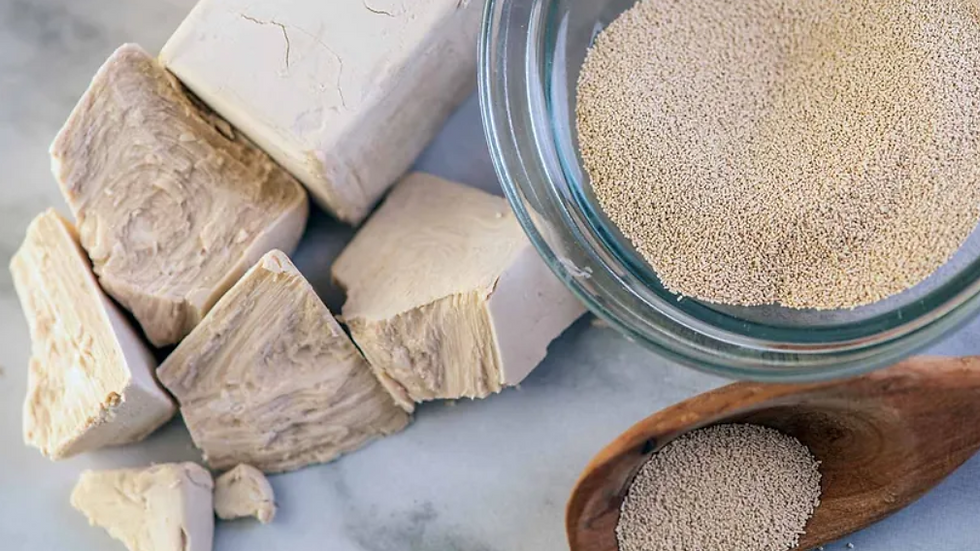 9 Types Of Yeast For Baking And When To Use Them