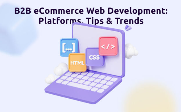 B2B eCommerce Web Development: Platforms, Tips & Trends