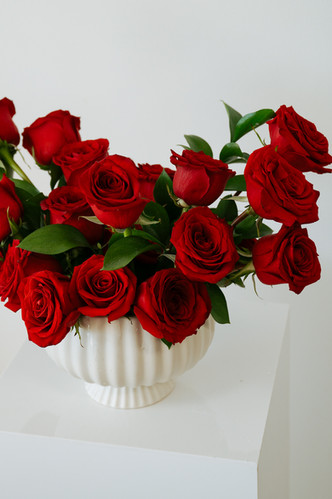 'Red Hot' Rose Collection | Flocal Co