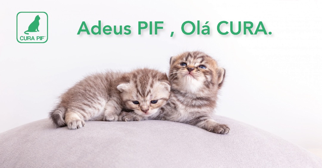 CURA PIF™ BRASIL | Tratamento para PIF no Brasil