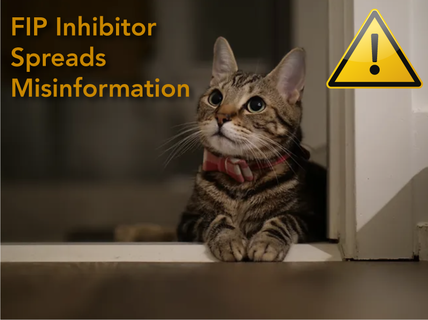 Attention FIP Cat Owners Worldwide: Beware of Counterfeit GS 441524 ...