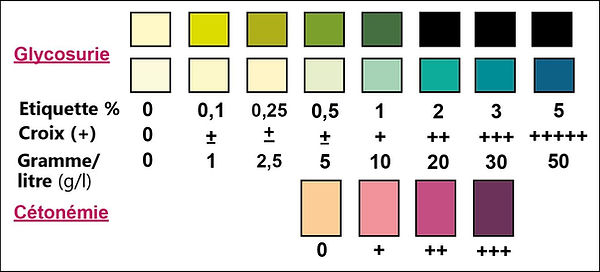 Métabolismes cellulaires | SVT Lycée M.MULLER