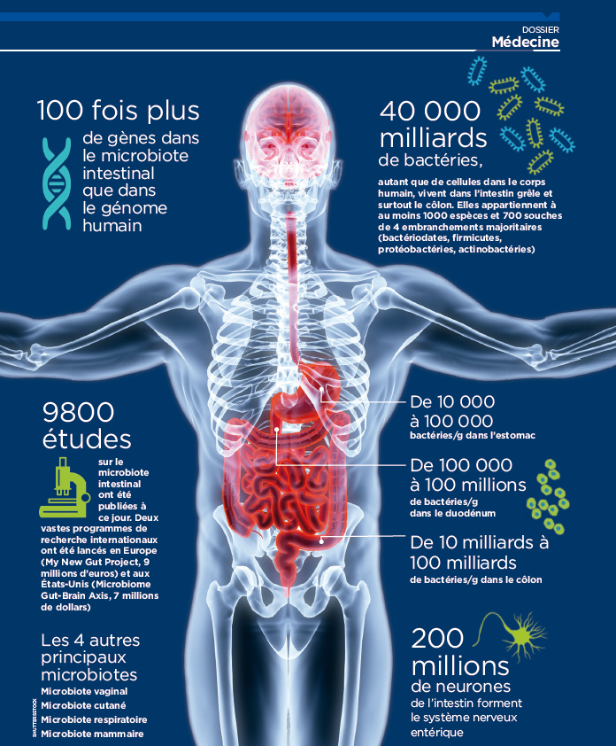 Microbiote & Santé | SVT_MULLER