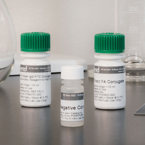 Feline Immunodeficiency Virus (FIV) FA Negative Control | VMRD