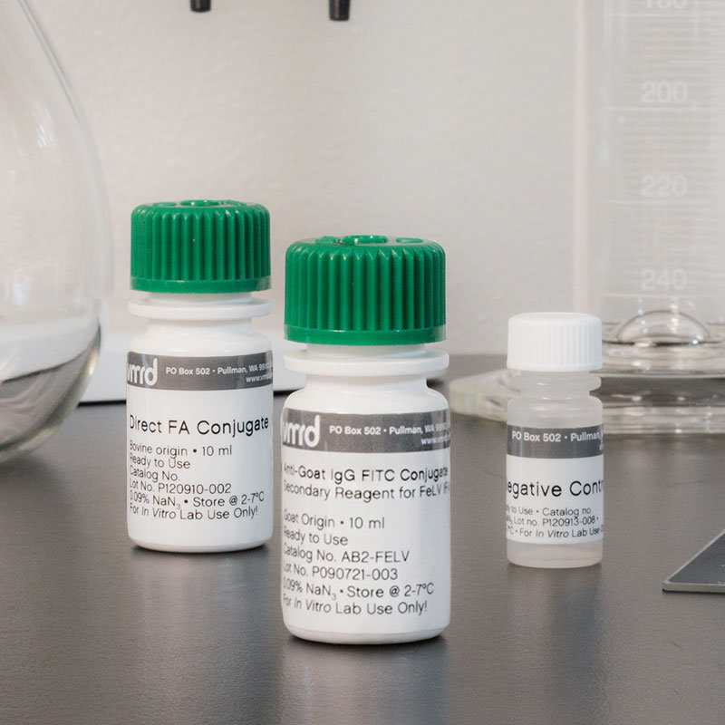 Anti-Feline IgM (heavy chain specific) FITC Conjugate Affinity Purified