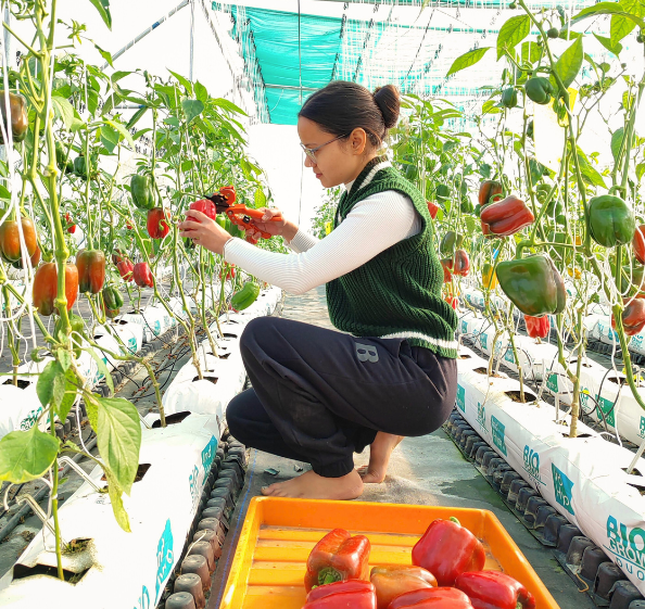 Our Story | Agri Joy