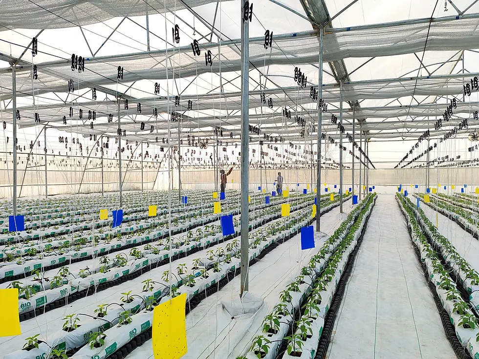 Agri Joy | hydroponic farming in india