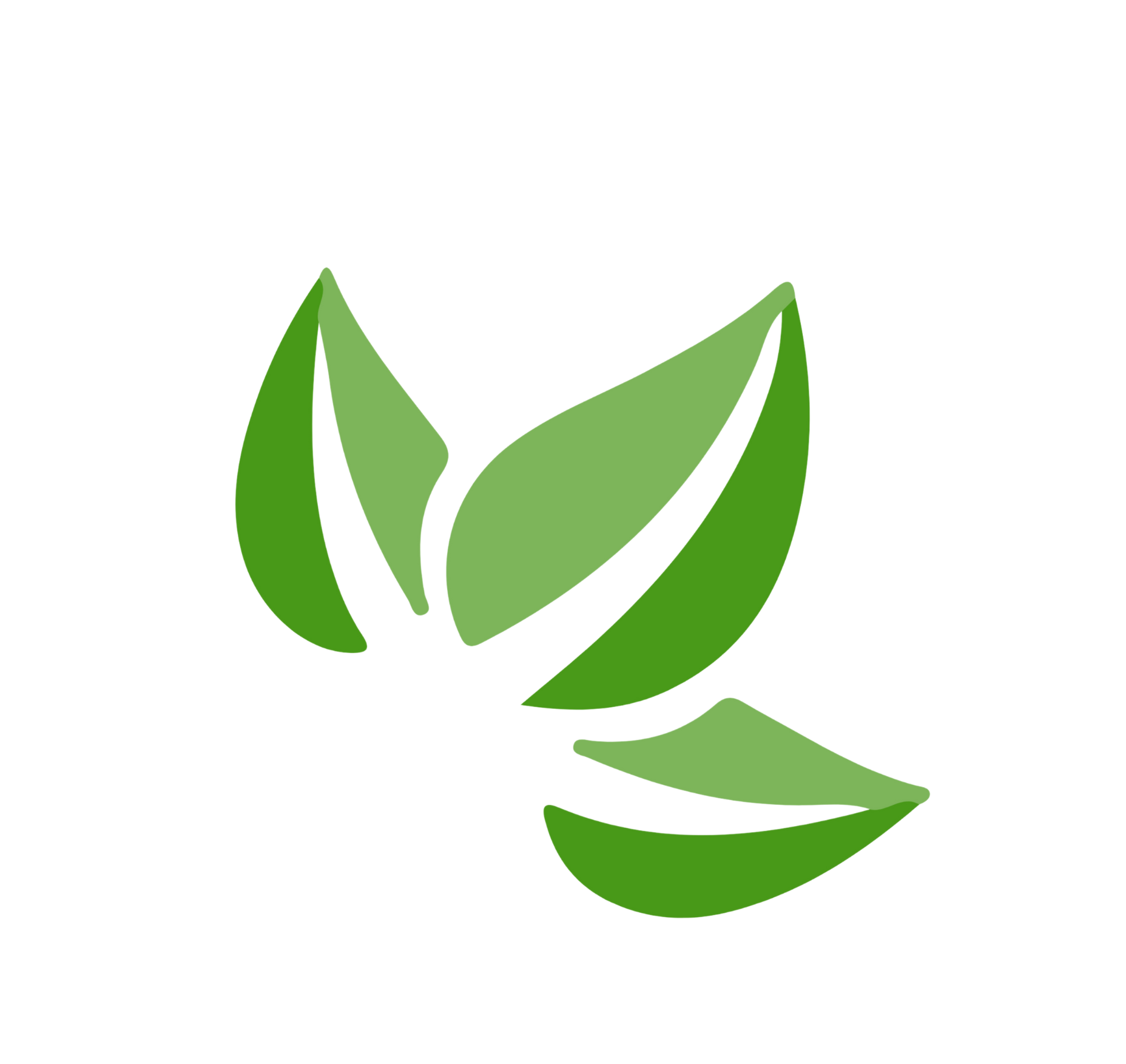 Agri Joy | hydroponic farming in india