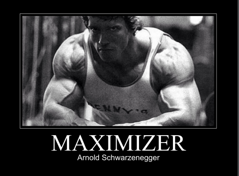 MAXIMIZER | WITH Global Strengths Change Institute