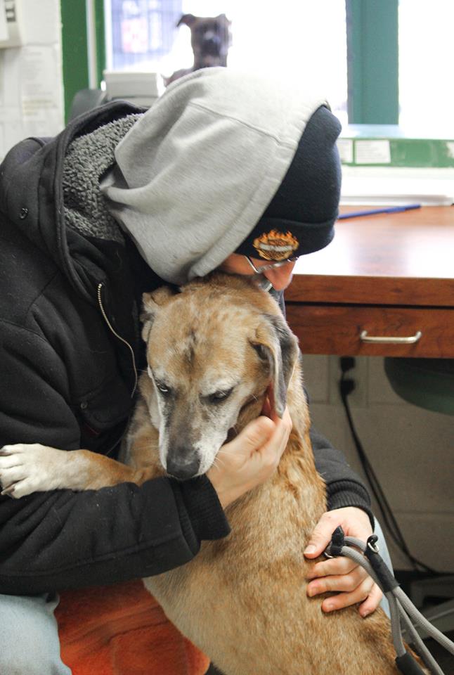 Volunteer | Anderson, IN | The Animal Protection League