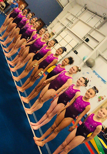 Meet The Teams | Mavericks Gymnastics