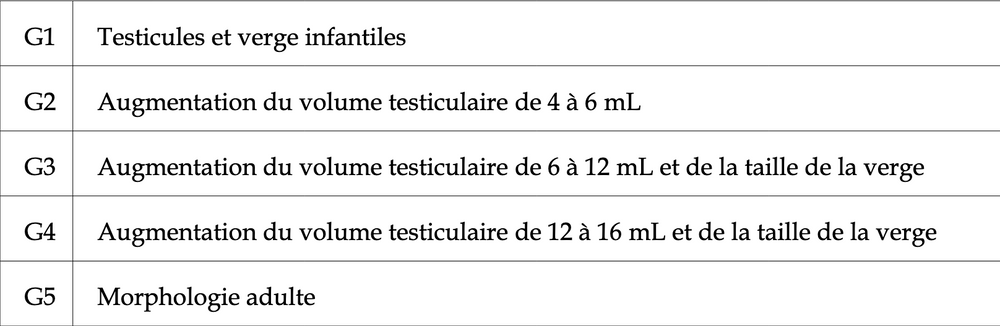 Tanner = Classification Puberté