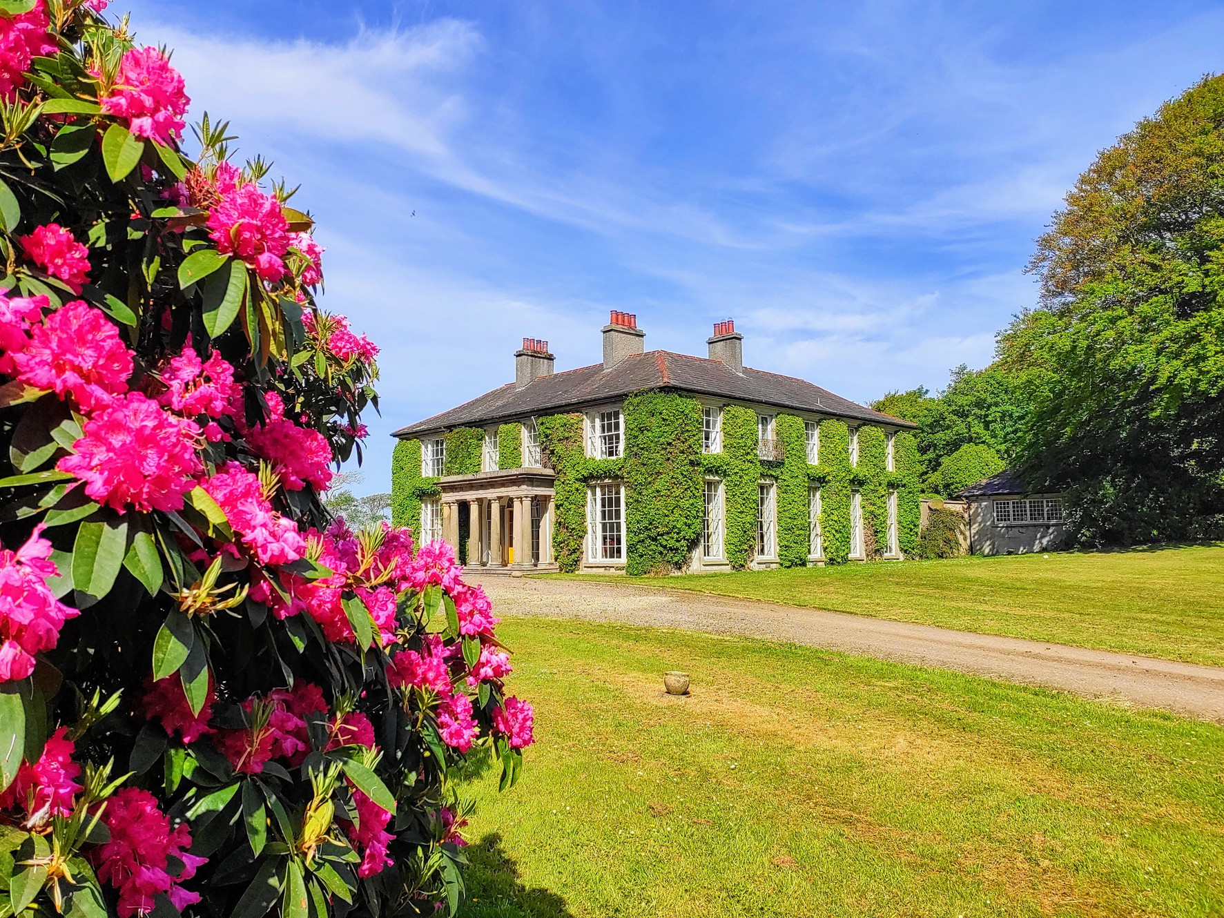 Luxury B&B | Tyrella House | Northern Ireland