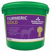 Turmeric Gold | fourlegsandtwo