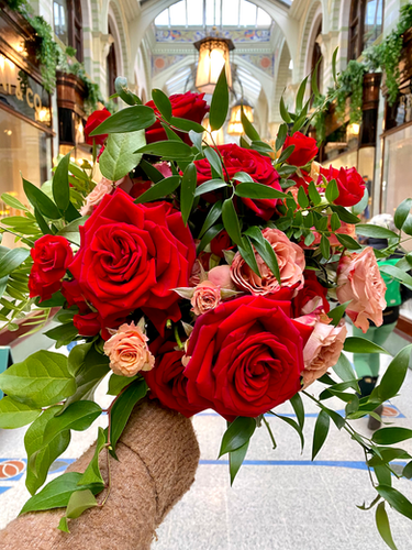 CUPIDS KISS | Basil And Pip