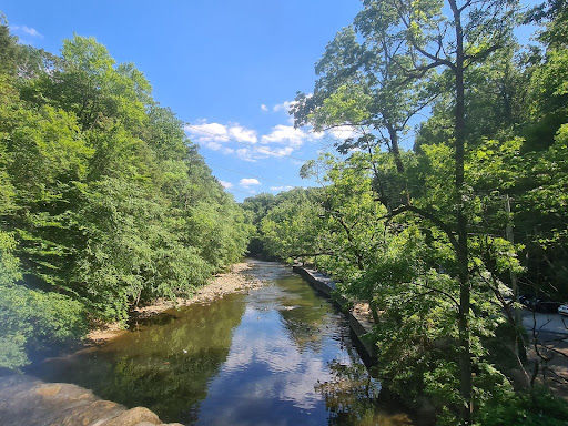 What's in a Healthy River Ecosystem?