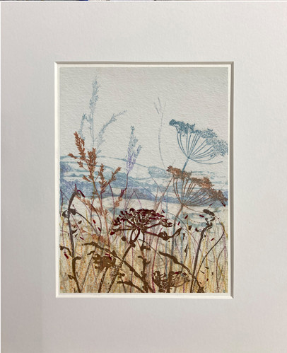 Limited Edition Prints | rachel-sargent