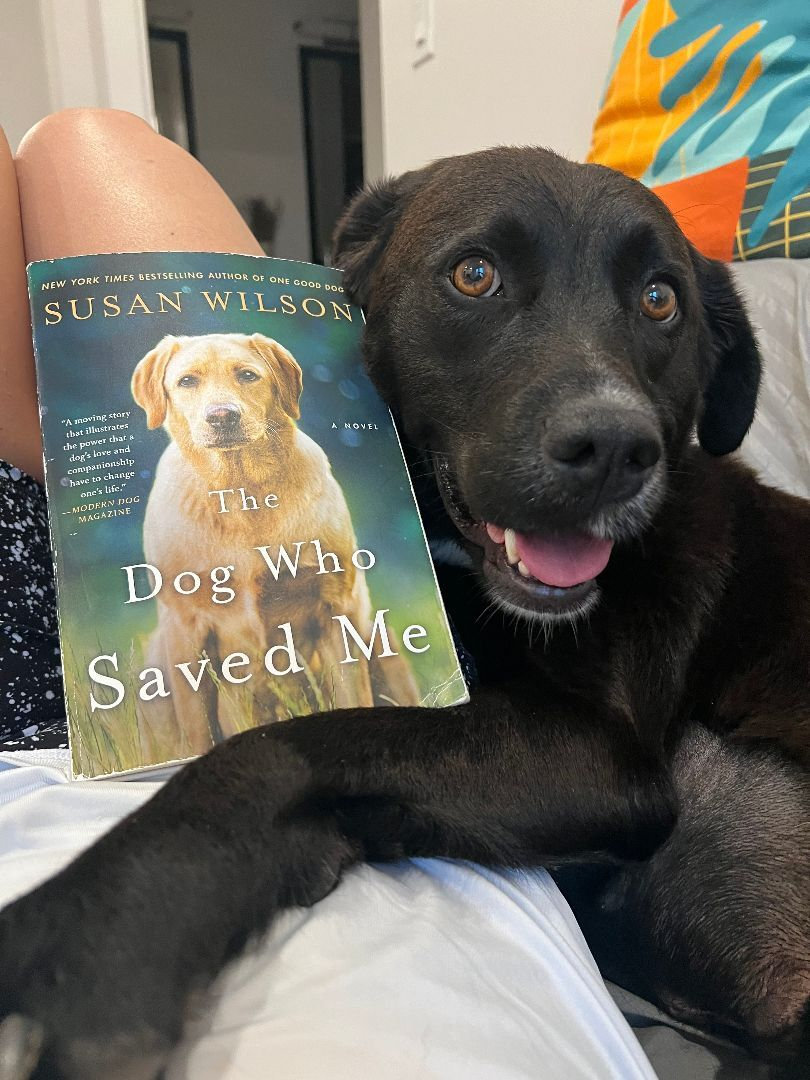 Ebony | Rebound Hounds