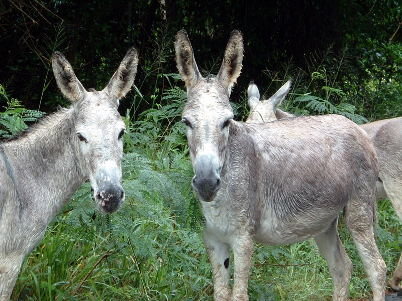 THINGS TO DO | Varlack