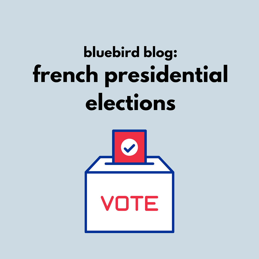 French Presidential Elections: Macron's Challenges for a Divided France