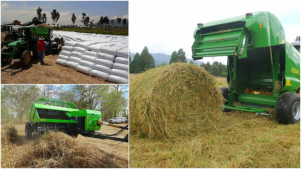 Silage System 1, 2, 3 vs other systems