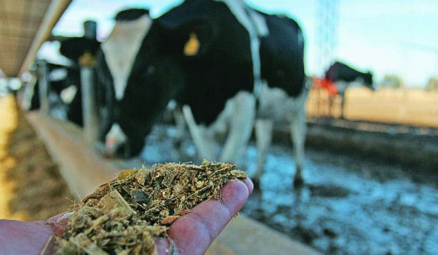 ¿Que es el ensilaje?