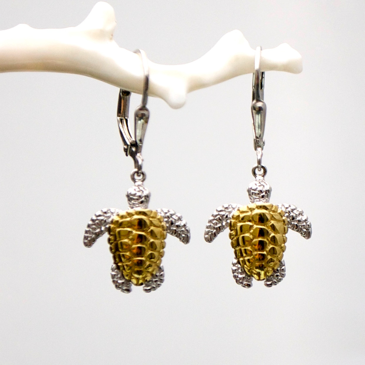 SEALIFE | ZEMIL.Net