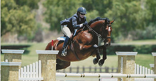 winter rose equestrian