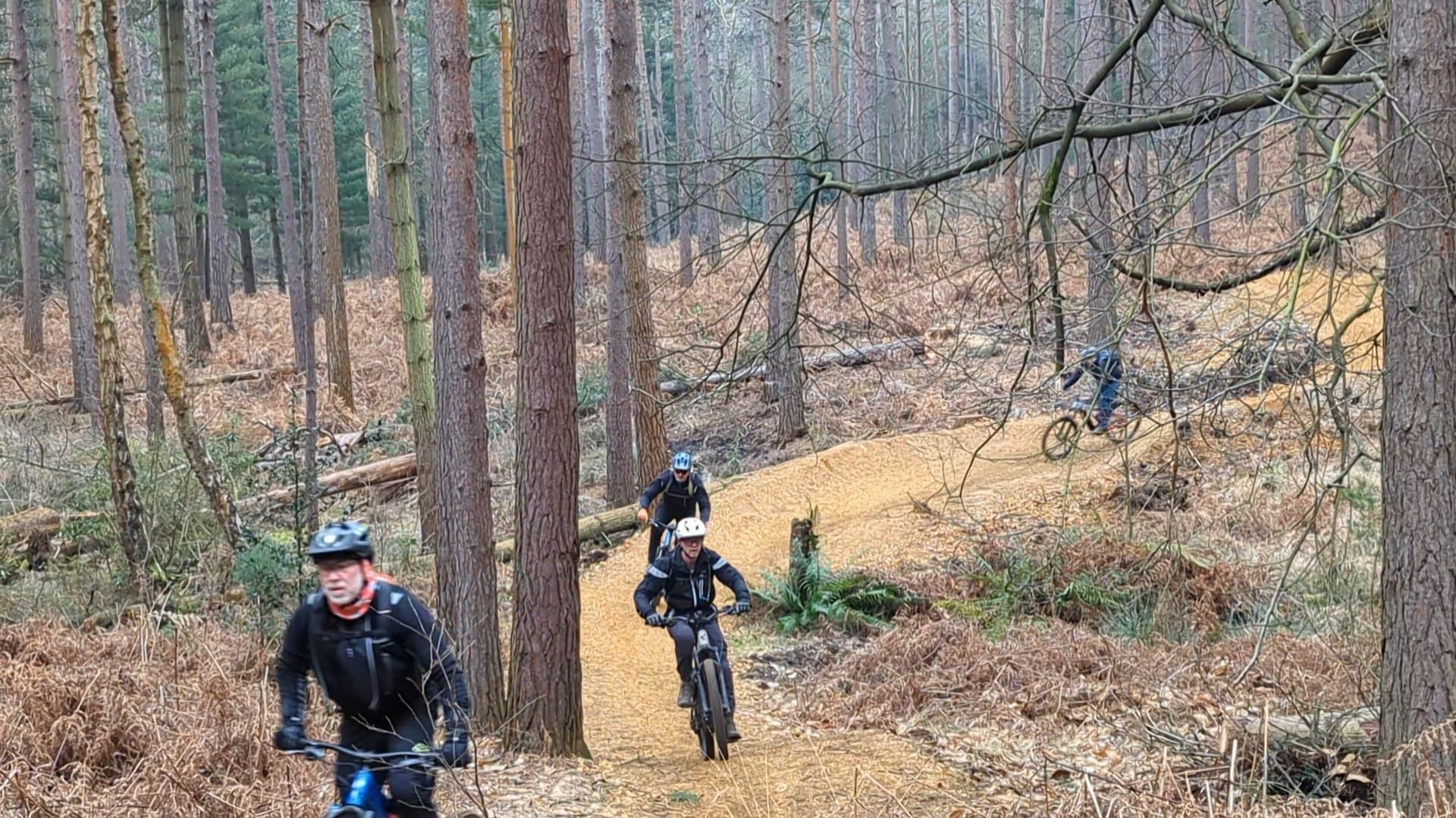 DRR Swinley Bike Park | Dorset Rough Riders