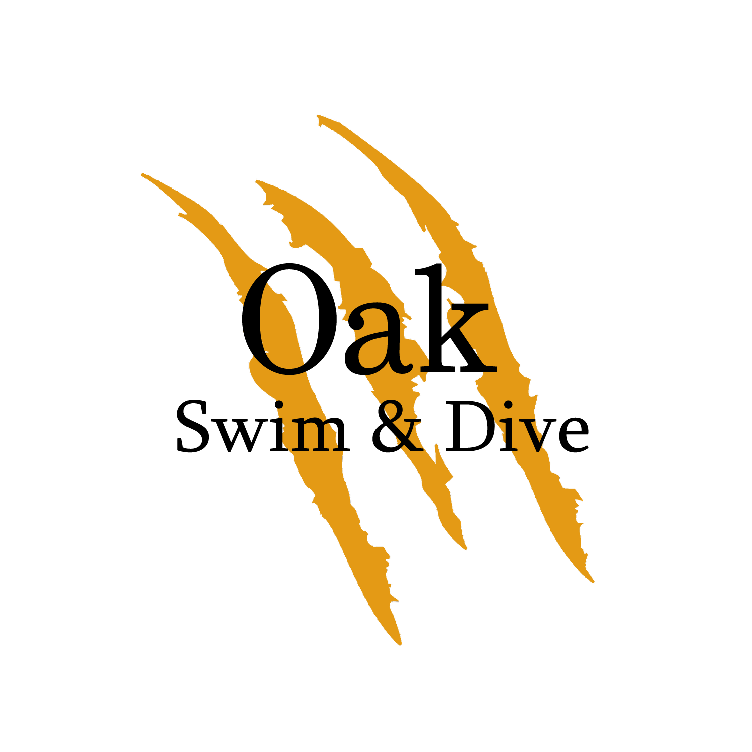 Photos | kleinoakswim